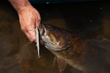 Fishing for Bass Tips: Landing a Great Catch - Grit